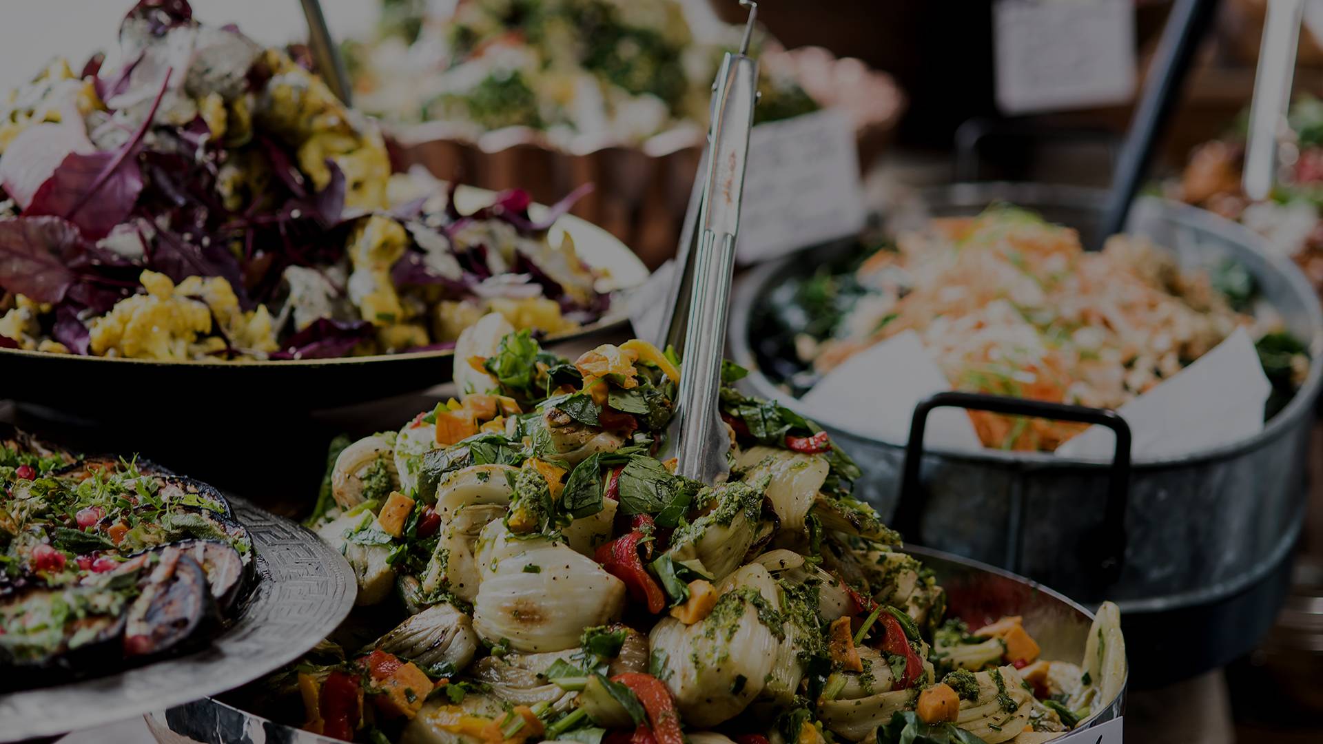 A Choice for Everyone with Universal Meals