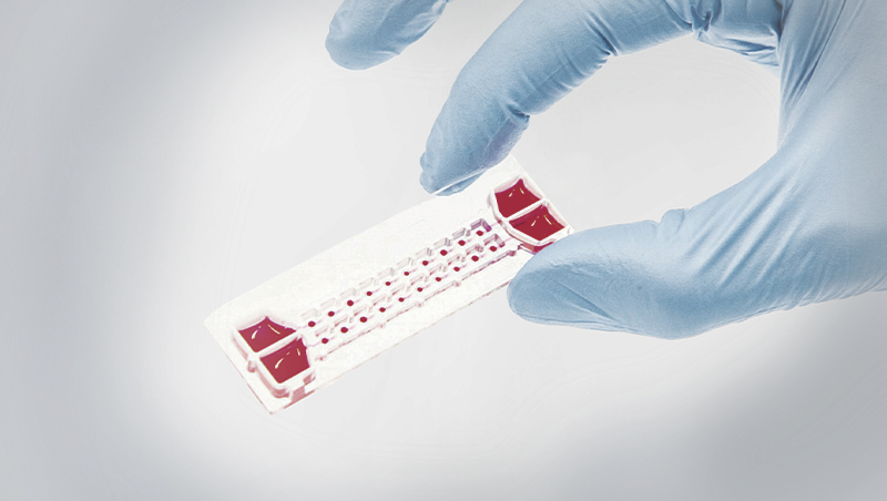 Human Advanced In Vitro Model Initiative