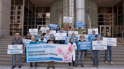 Human Experimentation: An Introduction to the Ethical Issues