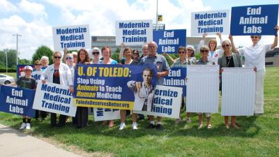 Dissection Alternatives for Students